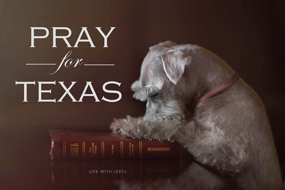 Pray for Texas – Life With Izzy